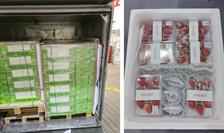 Domax Logistics Ships Fresh Strawberries Overseas Safely